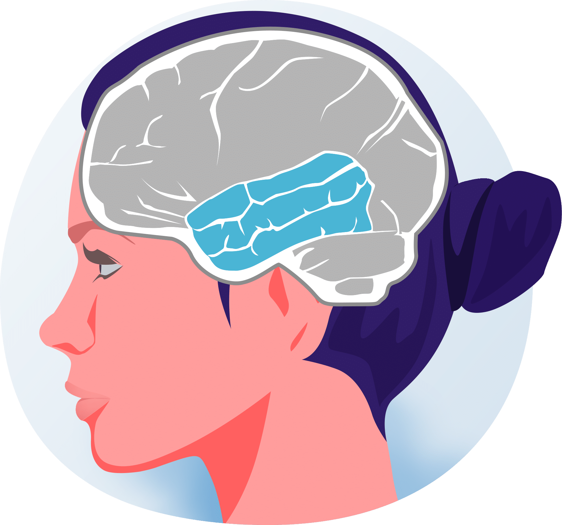 Lobo temporal: anatomia, função e correlações clínicas